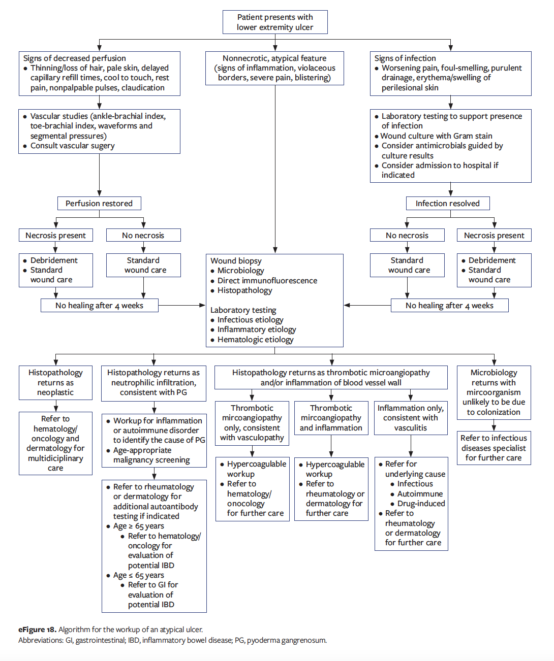 Atypical Ulcers A Stepwise Approach For Clinicians